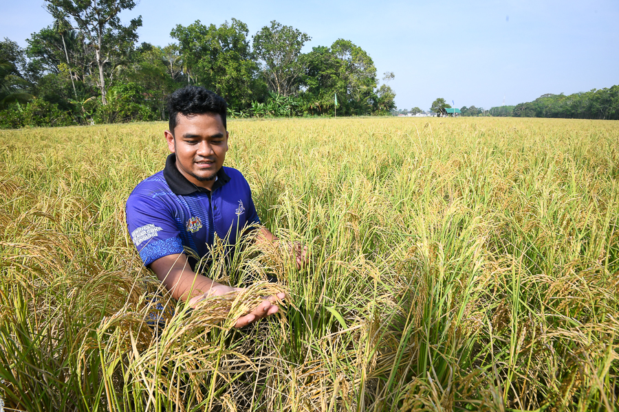 “Sebagai alumni UPM saya secara langsung dapat mengaplikasikan ilmu ...